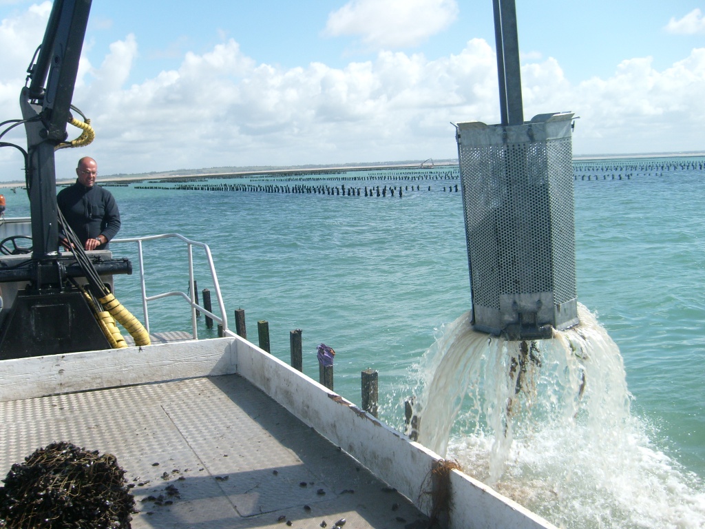 REseau MOULe NORmandie : De bons taux de remplissage en 2020 - SMEL