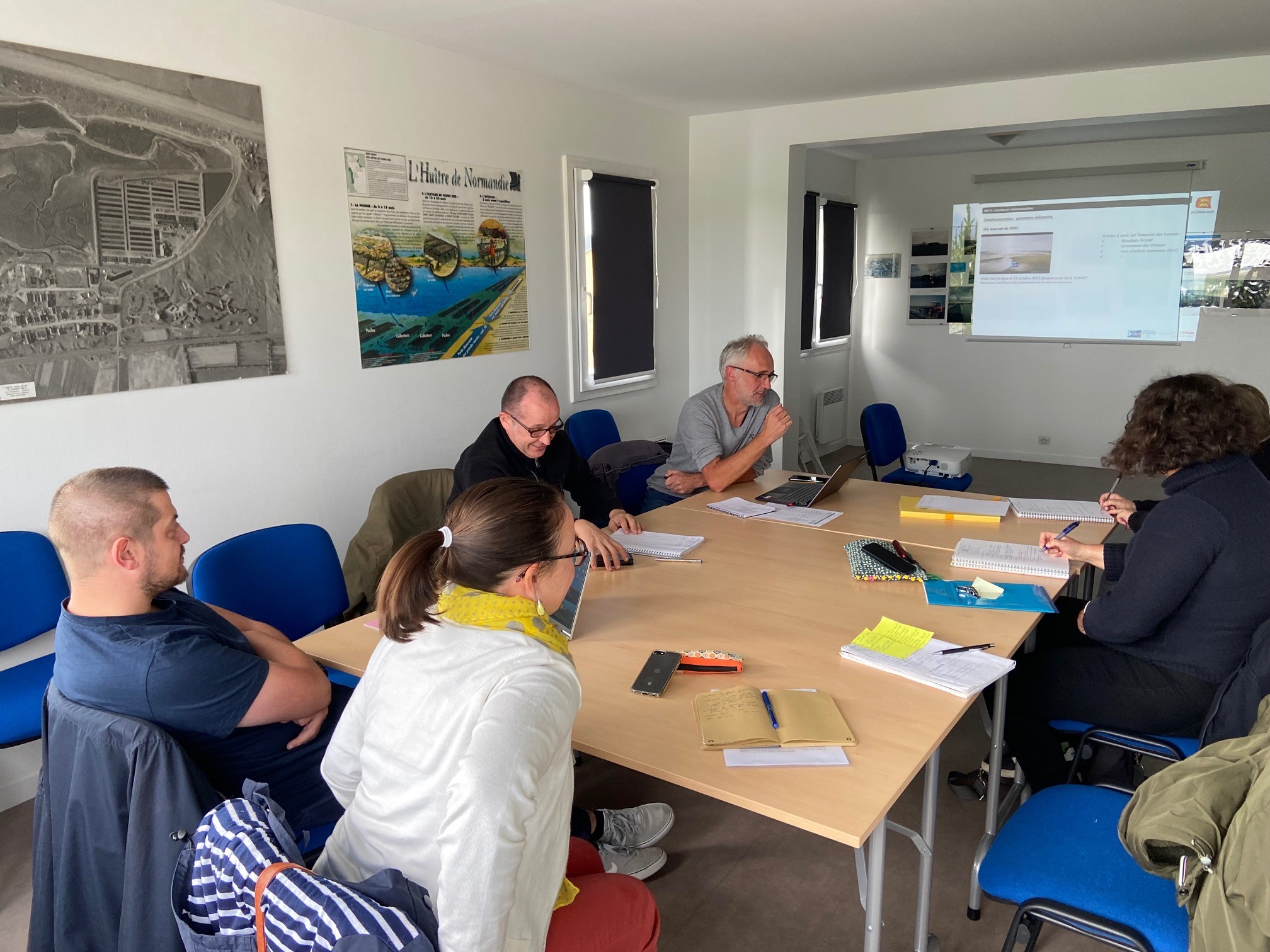 La culture de salicornes à la CABANOR. - SMEL