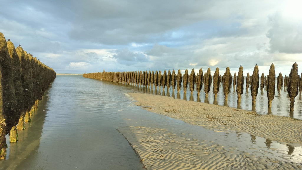 OFFRE DE STAGE – Suivi de la qualité de l’eau de mer en zone ...