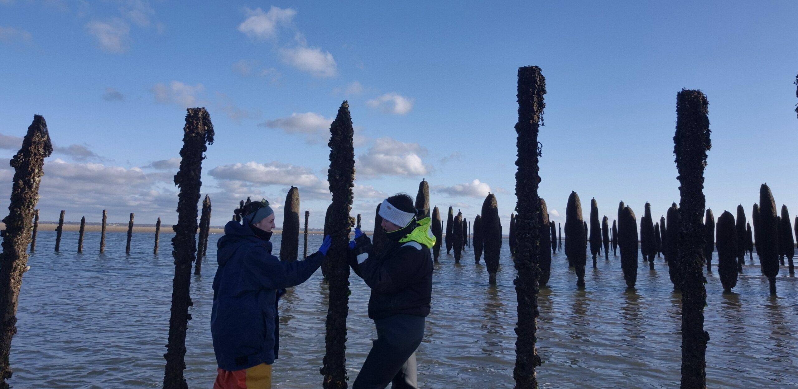 Clap de fin pour le projet CarUtah : deux ans d’étude pour étudier les ...