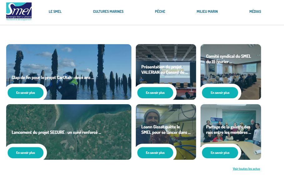 Le site du SMEL fait peau neuve ! - SMEL