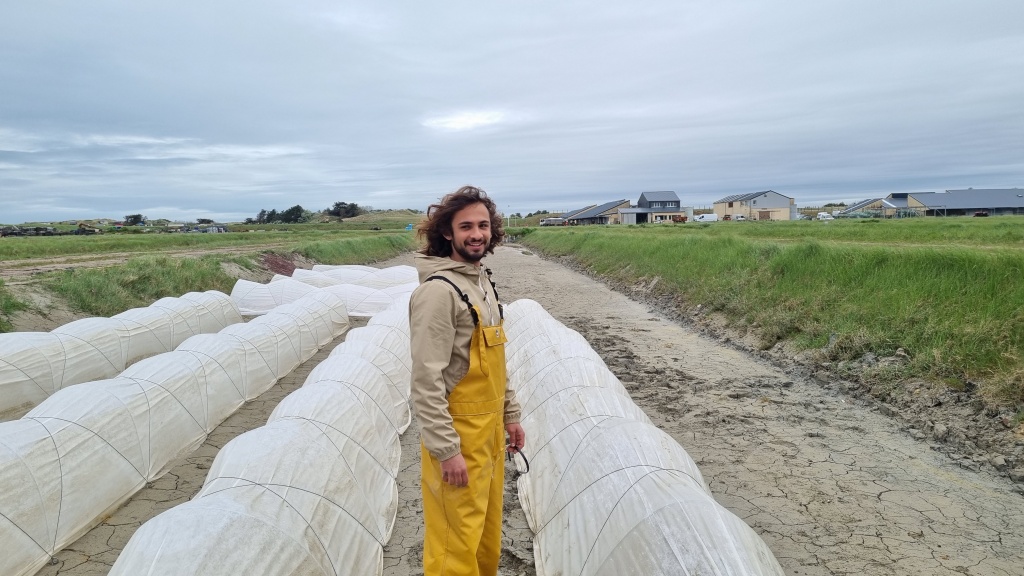 Etude socio-économique autour de la culture de salicornes. - SMEL