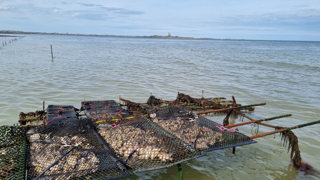 REMONOR : Les résultats 2024 sont disponibles. - SMEL