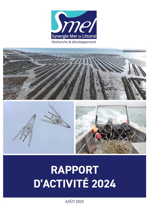 Le rapport d’activités 2024 du SMEL est en ligne. - SMEL